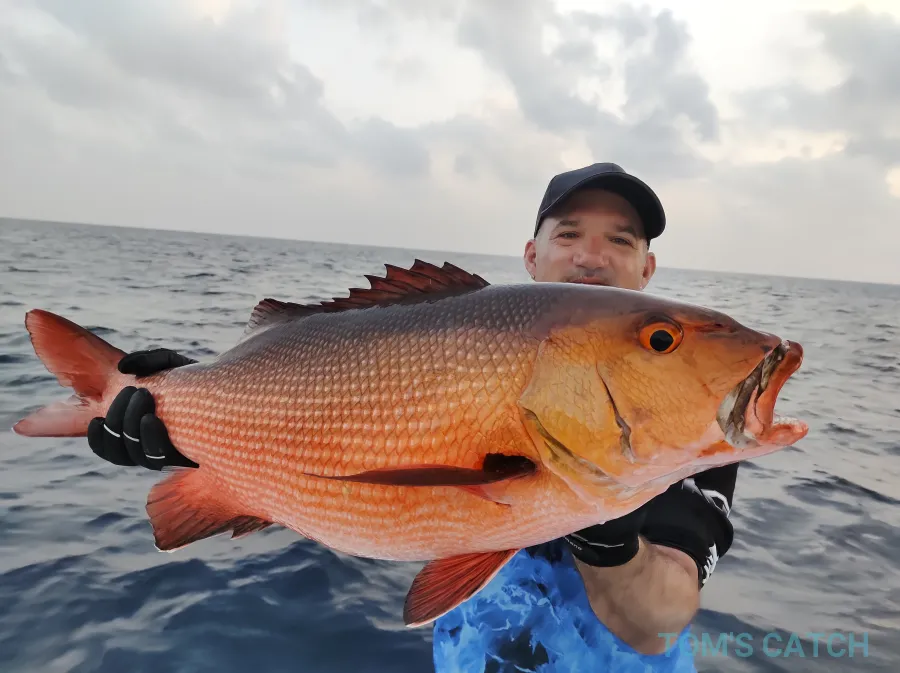 Schleppangeln in Malediven an Bord von Trevally Fish Fighters mit ...