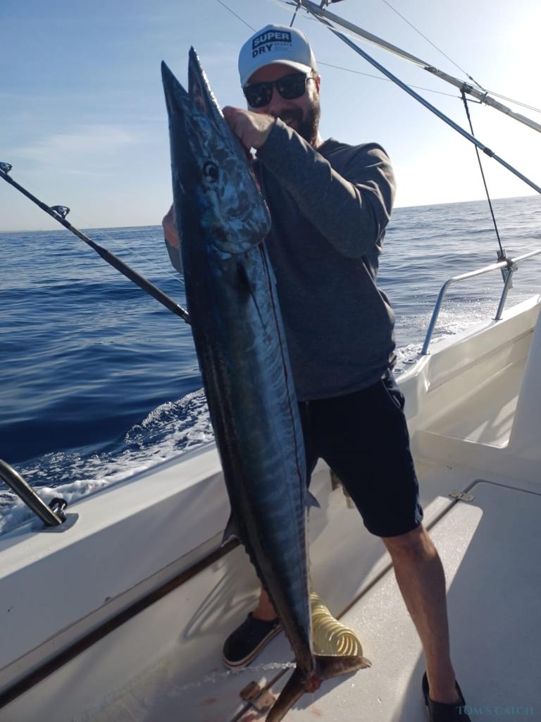 Angeln mit Roberto auf dem White Marlin II (2025 Preise) - Tom's Catch