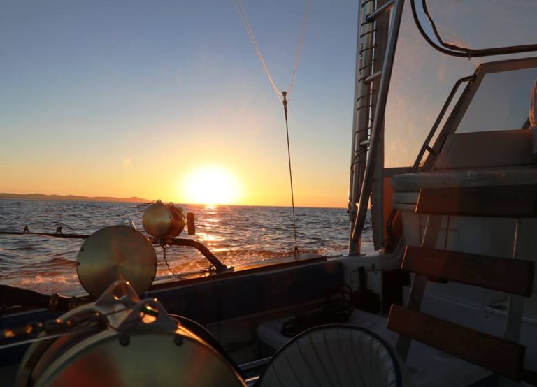 Algarve Fishing: a Short Travel Guide - Tom's Catch Blog