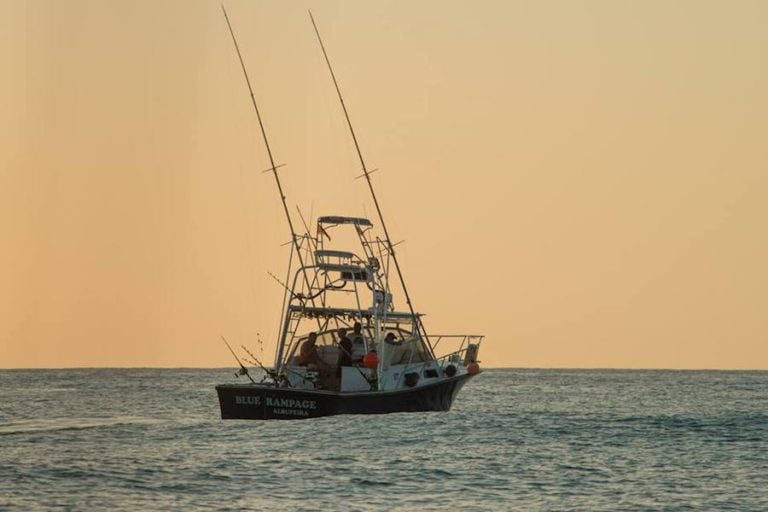 Algarve Fishing: a Short Travel Guide - Tom's Catch Blog