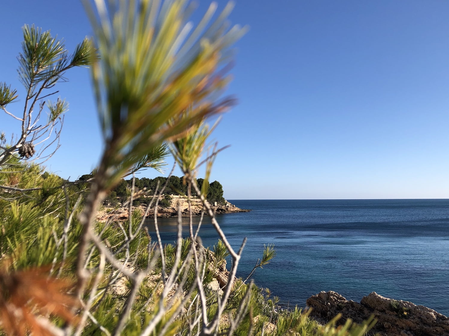 Fishing in Sardinia with Tom's Catch | Tom's Catch Blog