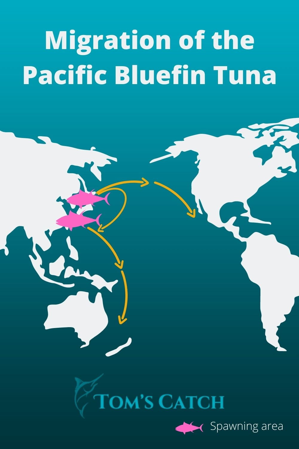 6 Things you should know about Bluefin Tuna Migration - Tom's Catch Blog