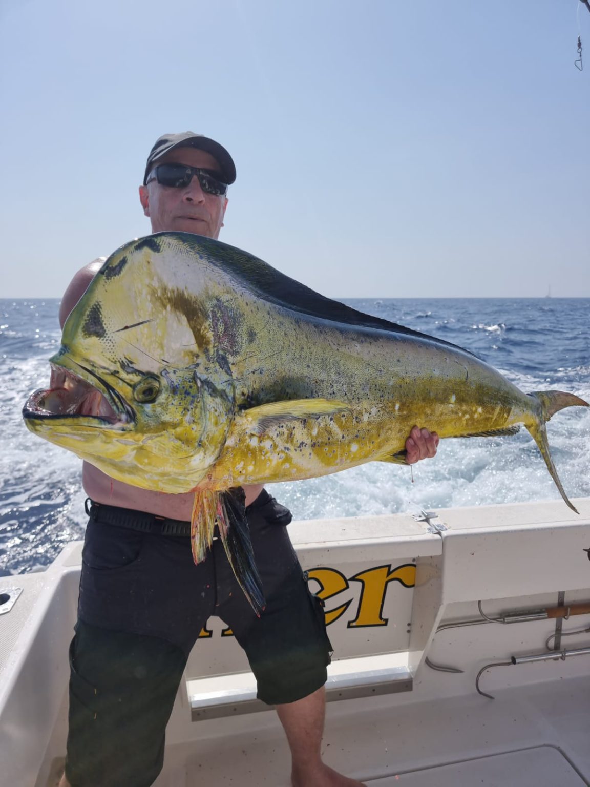 Hochseeangeln auf Gran Canaria: Marlin, Thunfisch, Wahoo, Goldmakrele ...