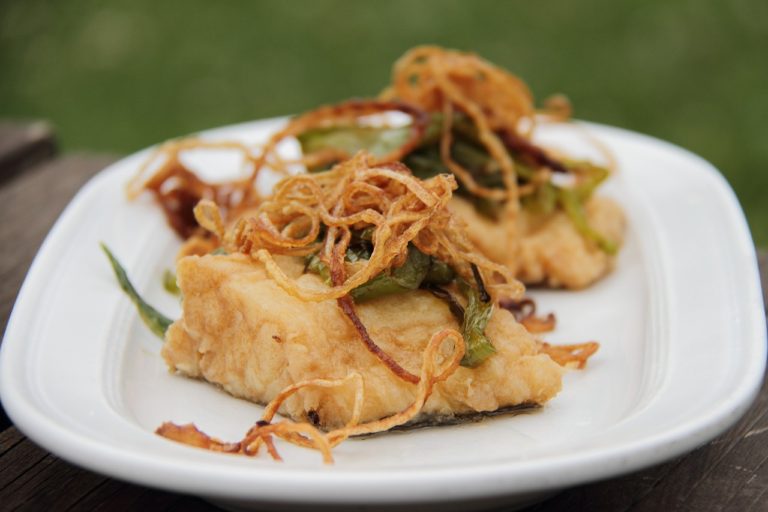 Pollock vs Cod: Which is Better? - Tom's Catch Blog