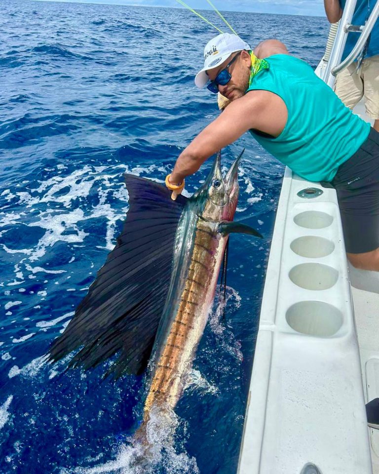 Ist der Fächerfisch der schnellste Fisch der Welt? - TomsCatch Blog