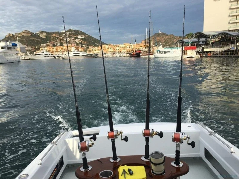 6 horas medio día de Pesca en Cabo San Lucas a bordo de Peleador I con ...