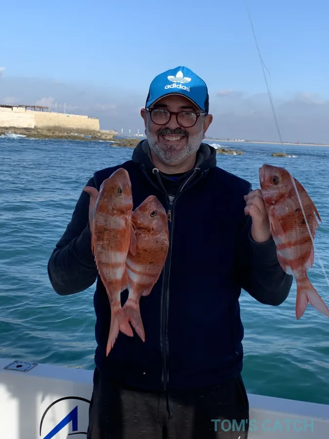 Pesca a Fondo en Cádiz a bordo de El Alcantara con el Capitán Nicolas ...