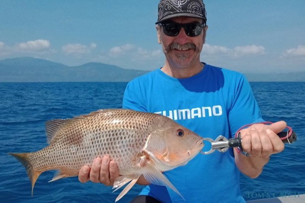 Pêcher Johns snapper: Informations, techniques, destinations et les ...