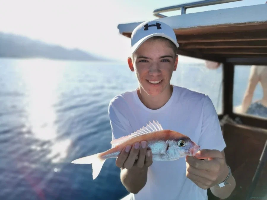 Half day trip in Croatia Aboard Nefali with Captain Marko - Tom's Catch