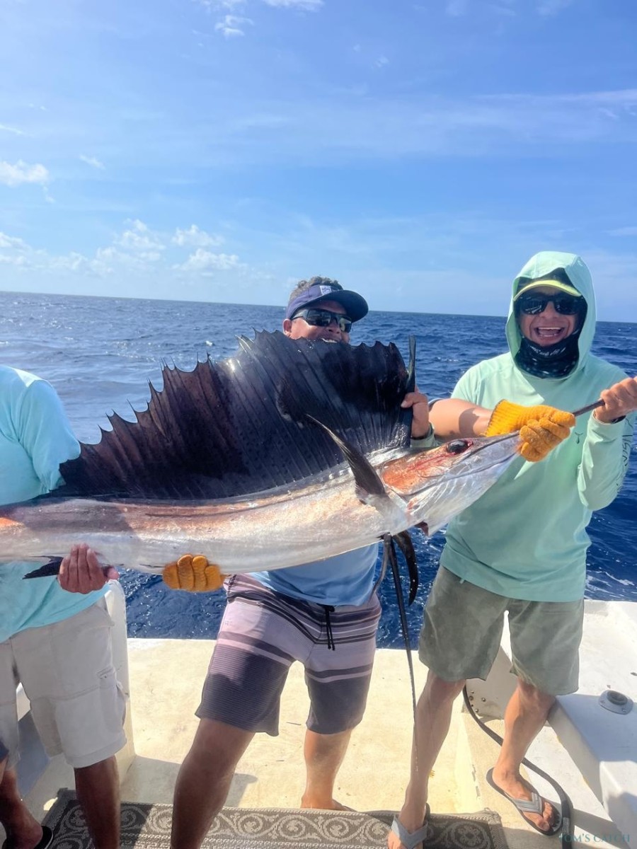 Fishing with Adonis on the Mayah (2025 prices) - Tom's Catch