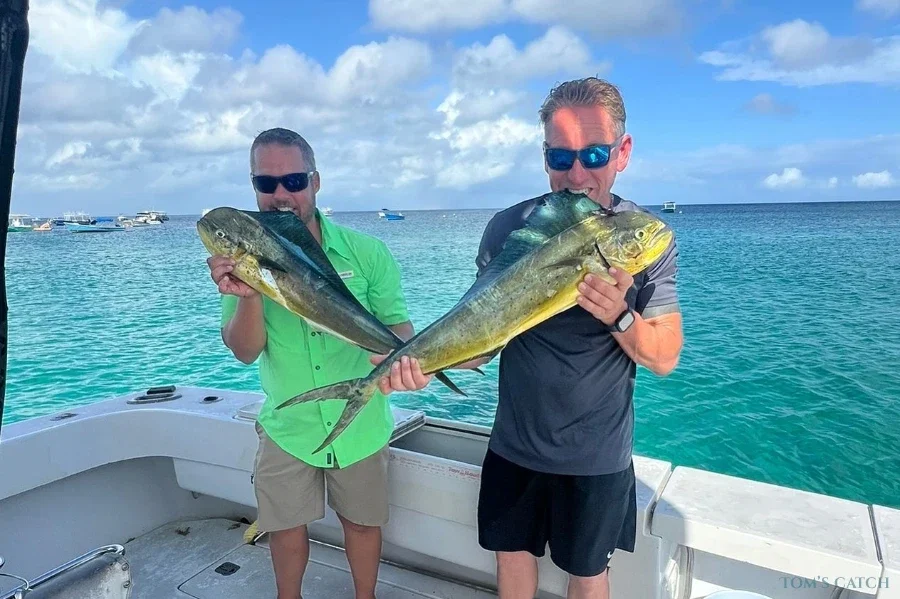 Fishing Trips in Barbados search - Find and Book your Charter - Tom's Catch