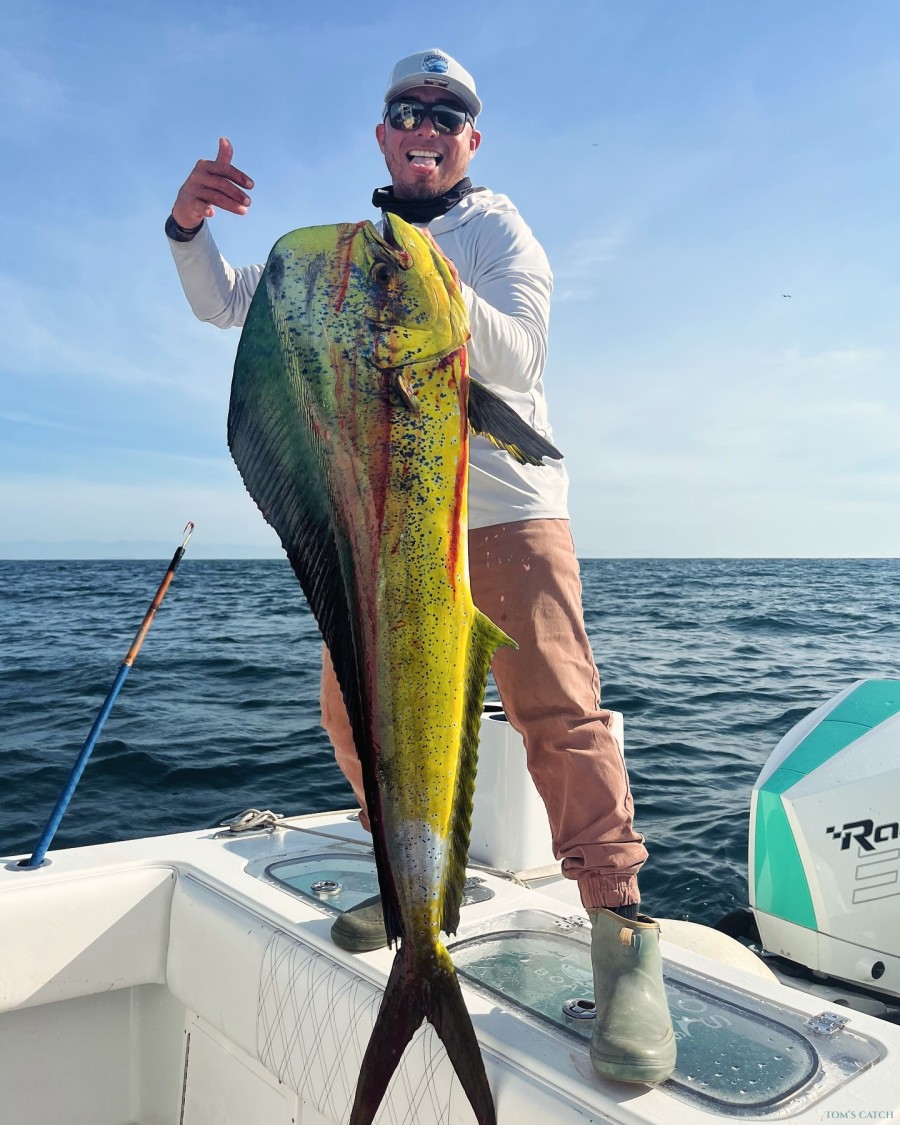 Pêcher avec Sergio sur le Arrecho (Tarifs 2025) - Tom's Catch