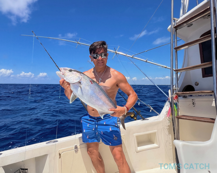 Pêcher avec Captain Elias sur le Hammer at Marina El Cid (Tarifs 2025) - Tom's Catch